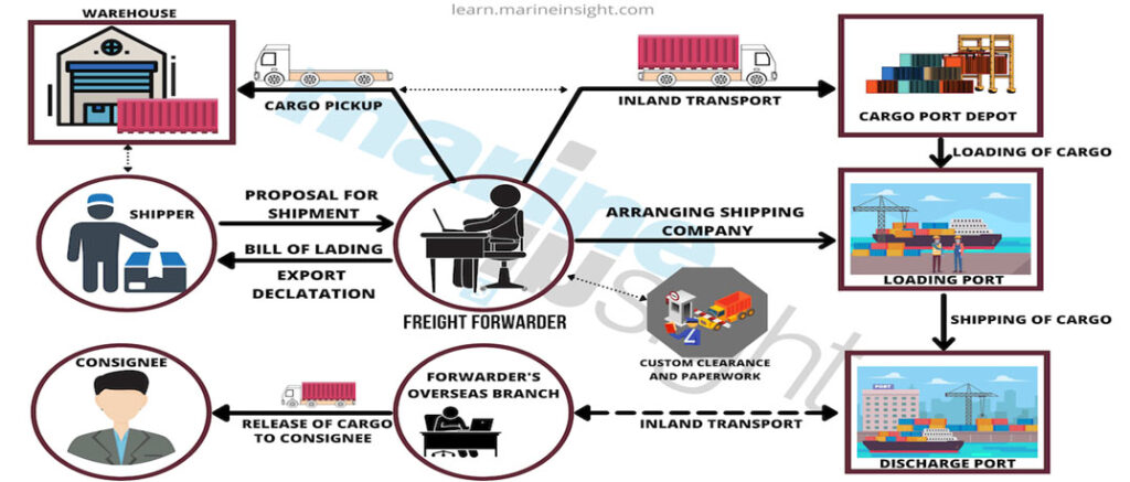 The Freight Forwarder And Customs Licensed Agent