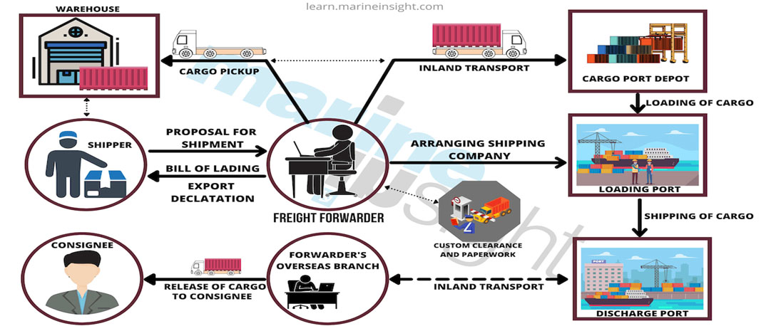 The Freight Forwarder And Customs Licensed Agent