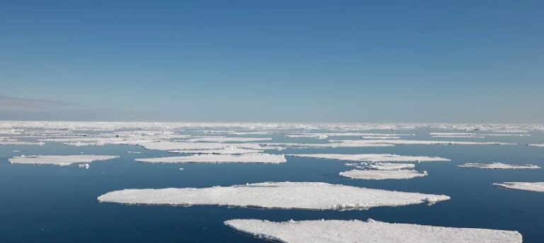 10 Arctic Ocean Facts You Might Not Know (2)