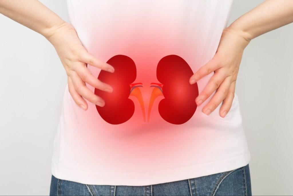 KNOW YOUR BODY PARTS: KIDNEYS