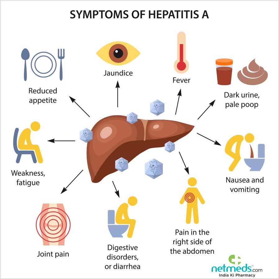 KNOW YOUR BODY PARTS: HEPATITIS